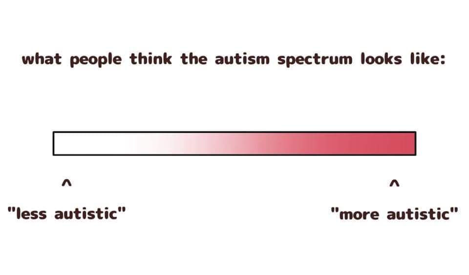 Let’s rethink the spectrum....a visual to help explain how diverse the ...
