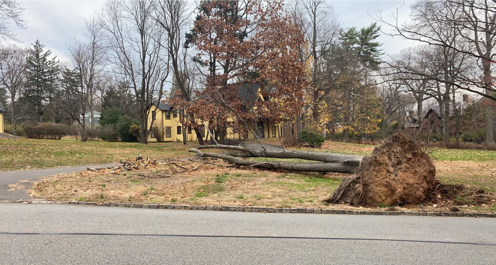 Poetry, Music and Acting | Sofia Delicari