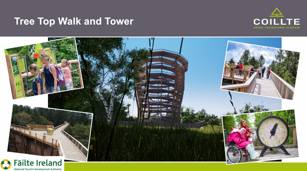 UPDATE Wicklow County Council Meeting 1st March 2021