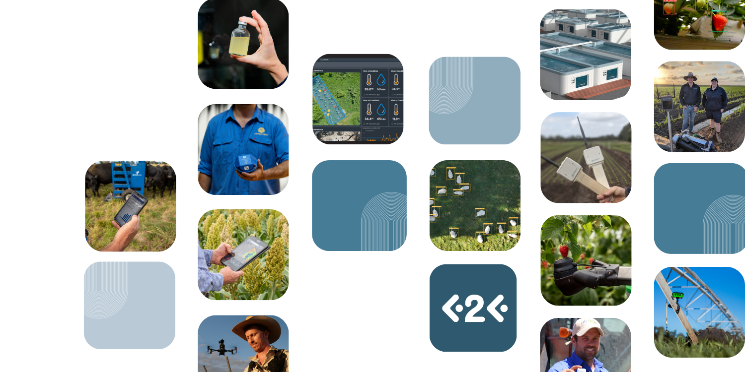 Grow + Scale Your Agtech Startup (JAN) | Farmers2Founders