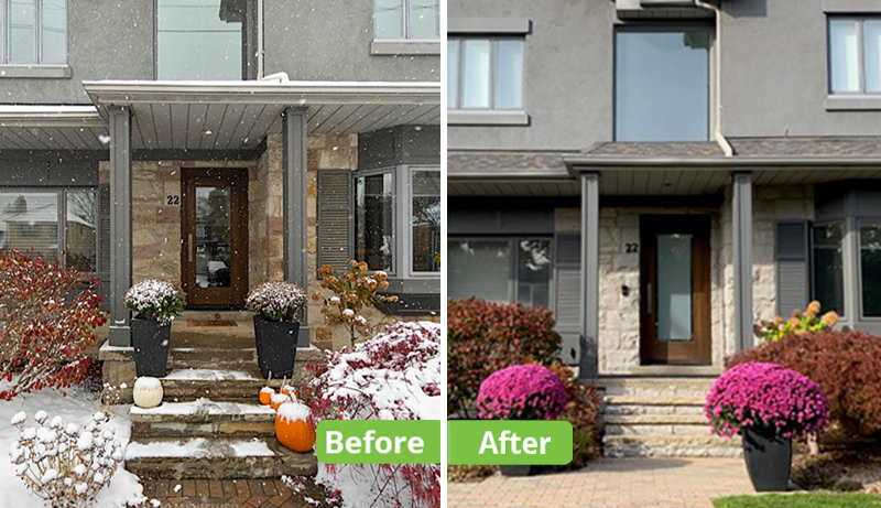 Gallery | PermaTint Ltd.