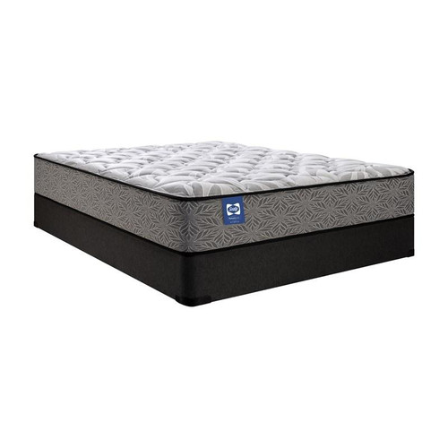 Queen Mattress, Box Spring, and Frame | Mr. Convenience