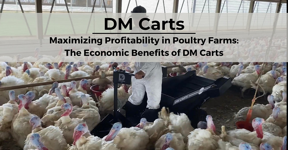 Maximizing Profitability in Poultry Farms: The Economic Benefits of DM ...