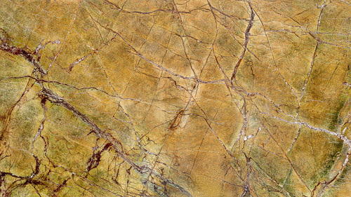 Rain Forest Marble | STONE COUNTERTOPS