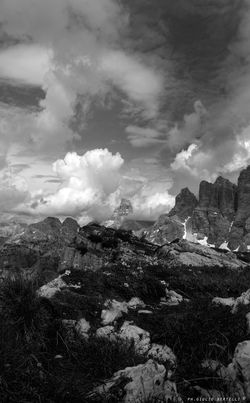 Nature | giuliobertelliphoto