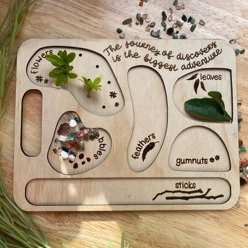 Nature Discovery Board | My Site