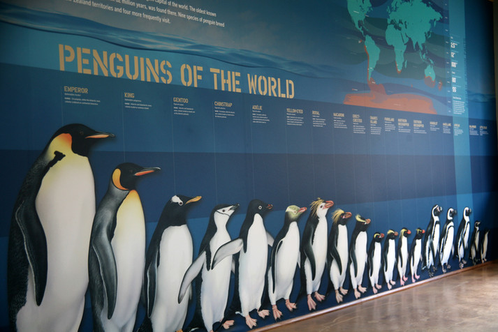 Penguin Coast Exhibit