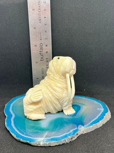 Curious Walrus | Alaska Native Ivory