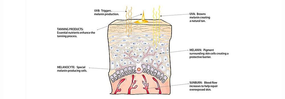 The Science Behind Spray Tanning: Understanding the Process