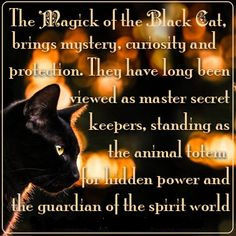 Cat Familiars: Every Witch Needs One!