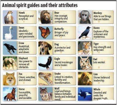 Understanding Animal Totems