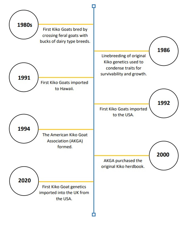 HISTORY OF KIKO & MEAT GOATS | BBMGA
