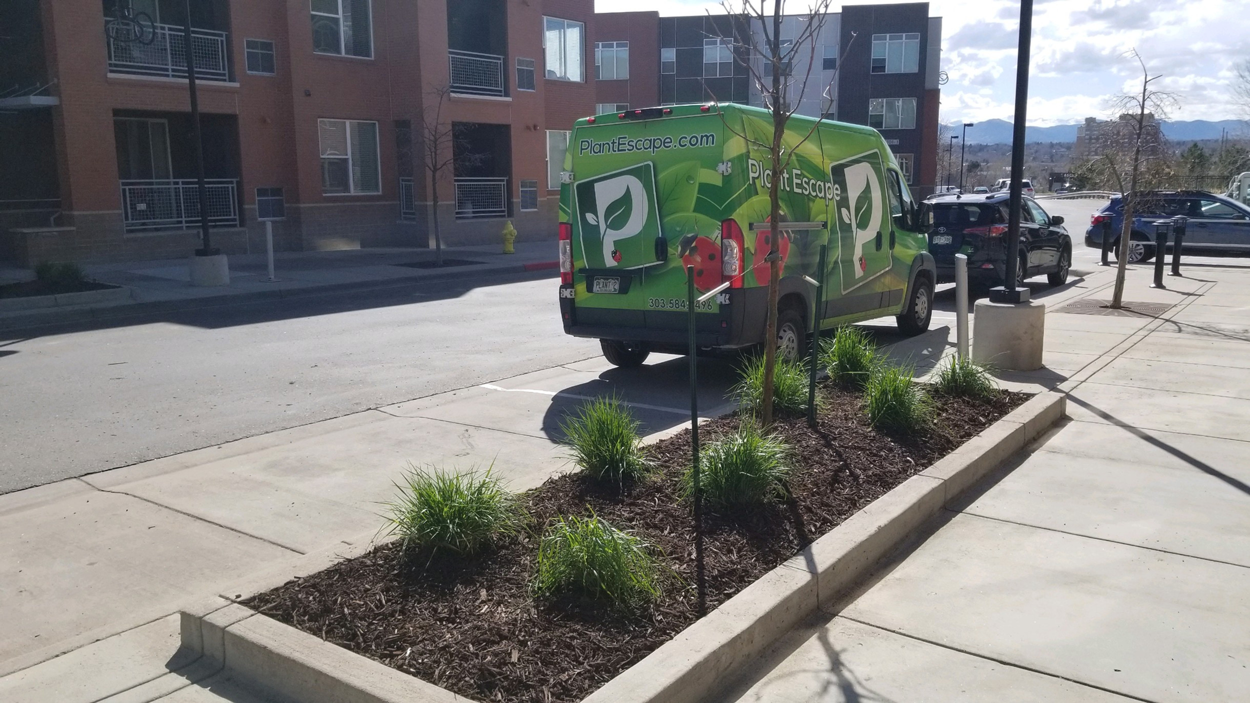 Mulch Delivery and Installation | Plant Escape | Colorado