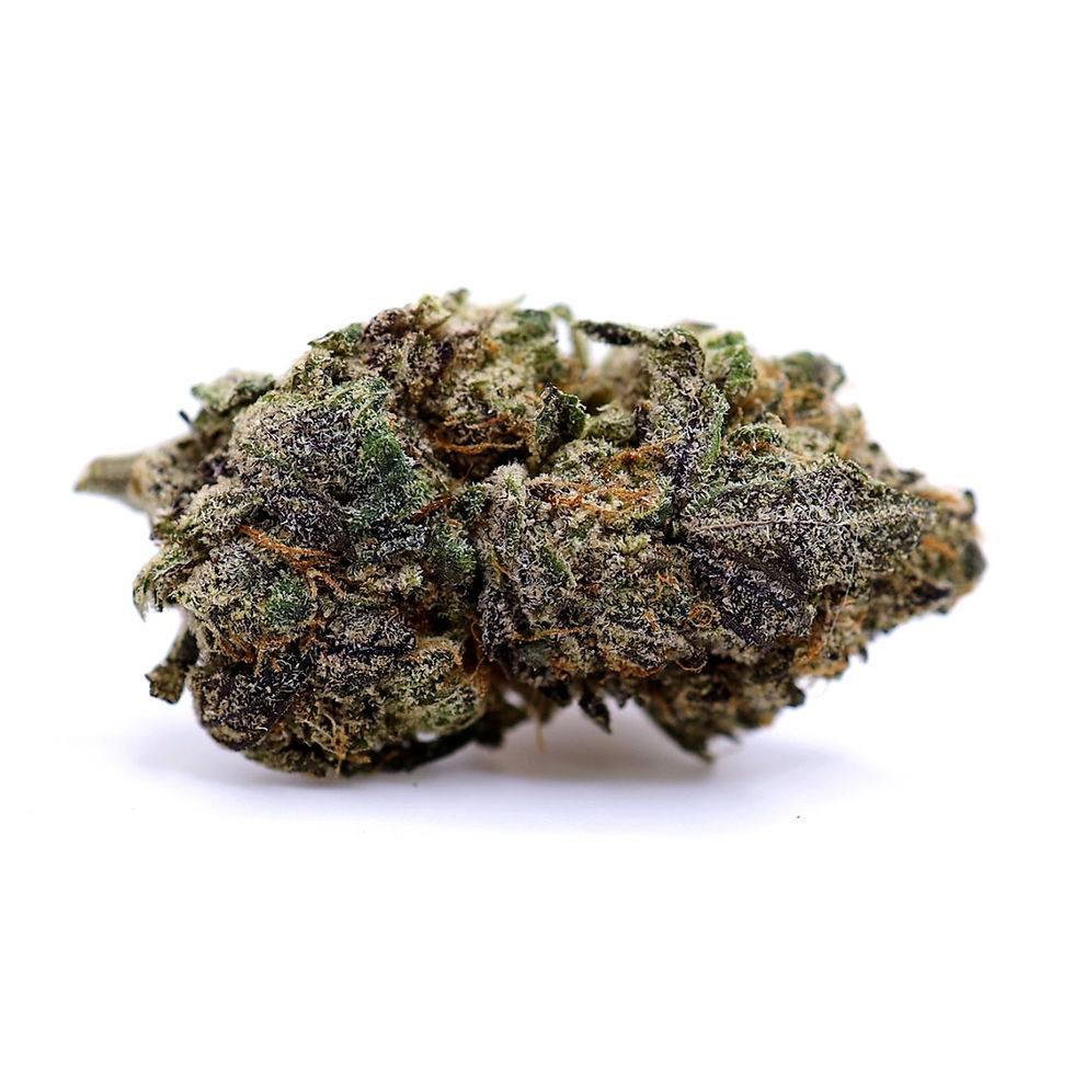 Bando - Buddha Buddy DC