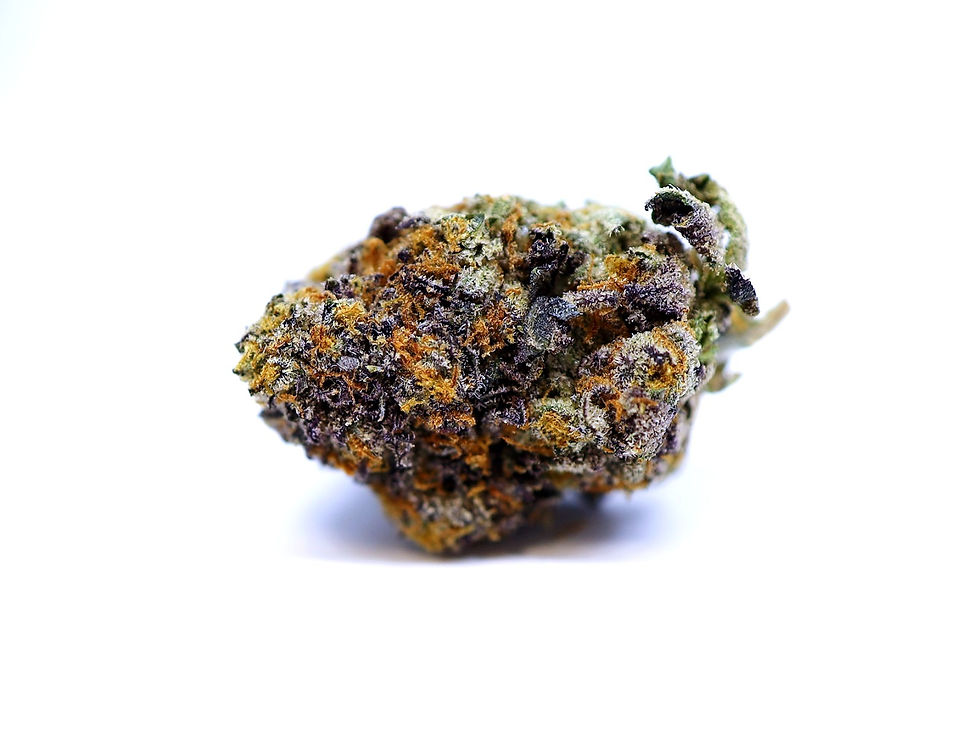 Animal Mint Gelato - The Treehouse