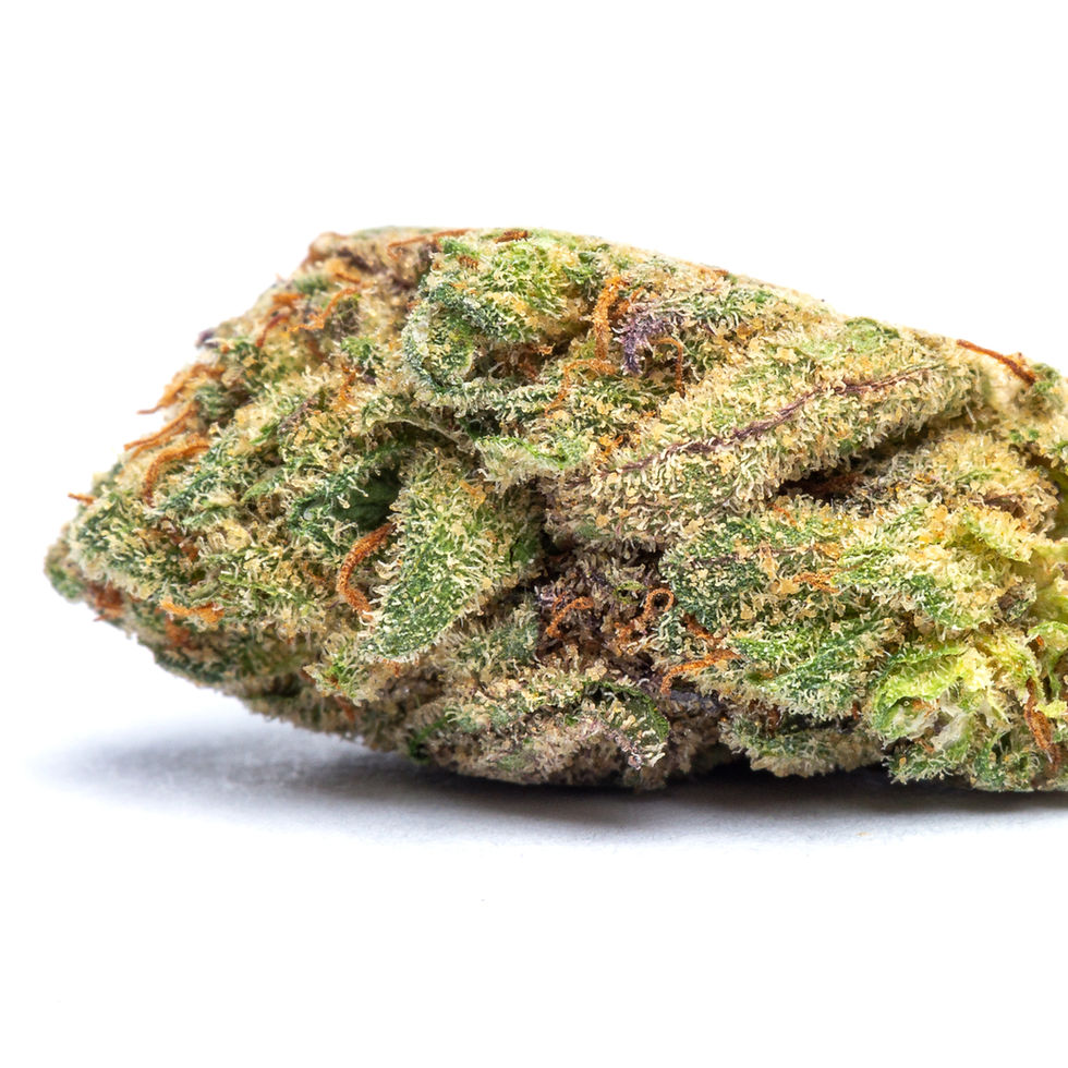 GMO - Happy Bud DC
