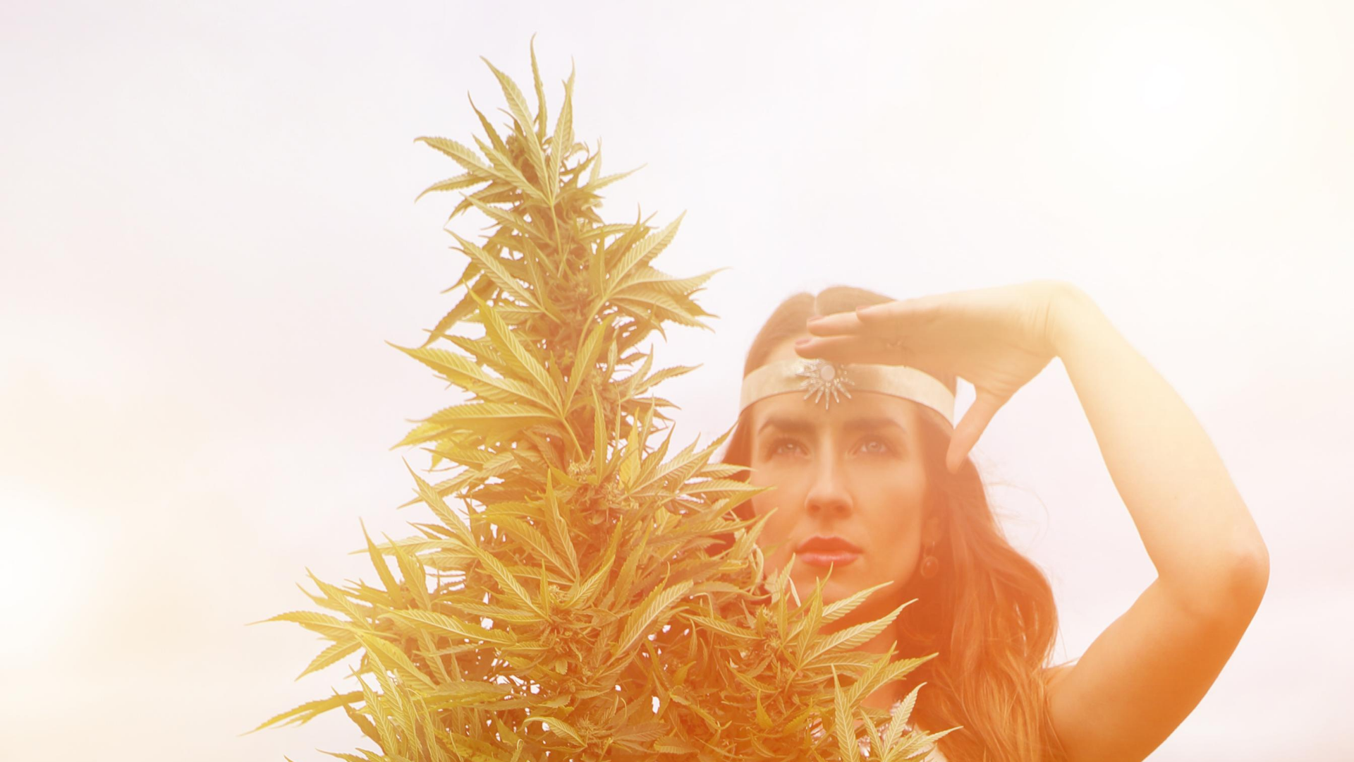 Bernie Sanders And AOC Joke About Marijuana At Nationally Televised ...