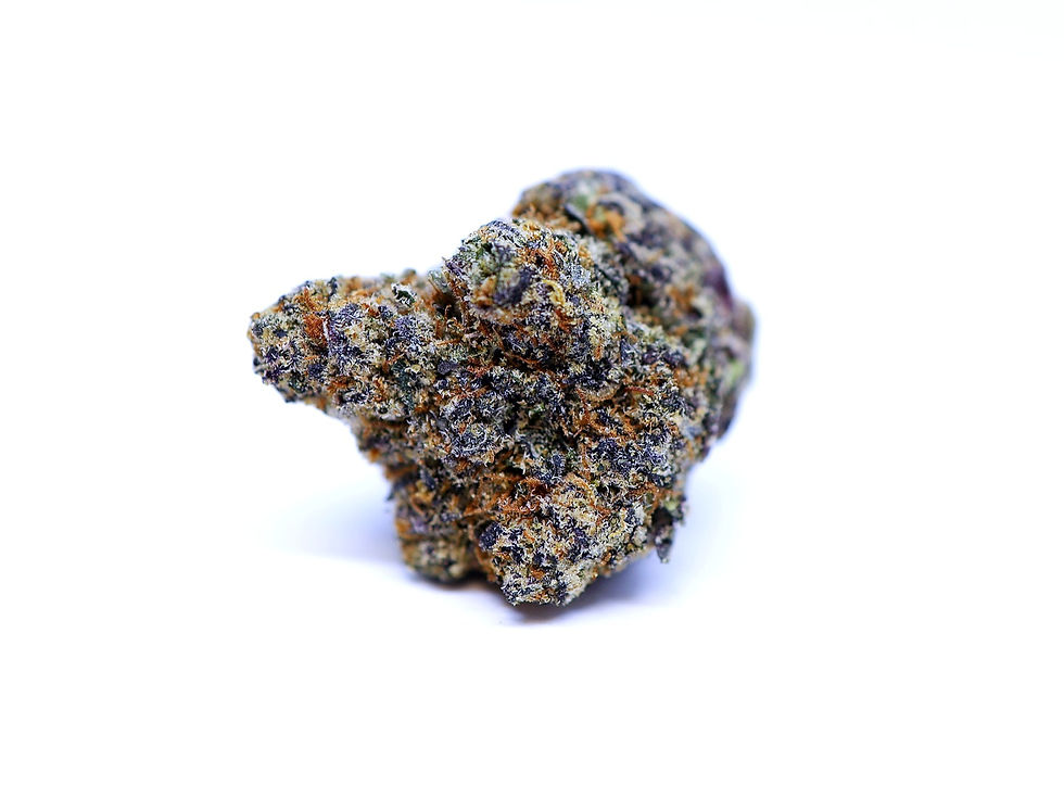 Madison Square Gumbo - Flight Pass DC