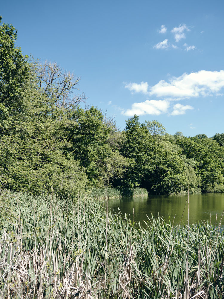 Die deutsche Vulkanstraße