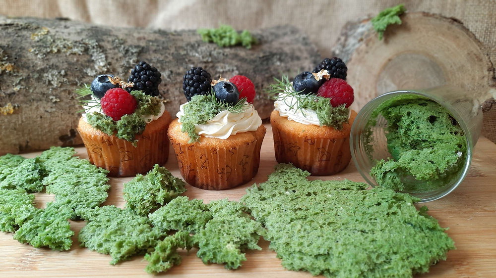 Tolle Deko: essbares Moos