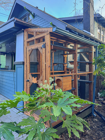 Small Catios | The Catio Company