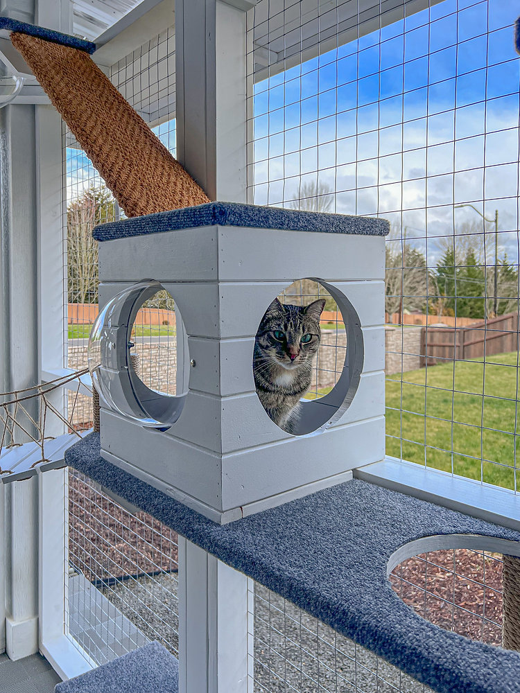 PROS & CONS OF CATIOS