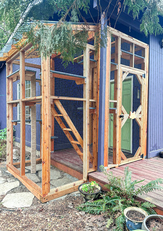 Custom Catios | The Catio Company