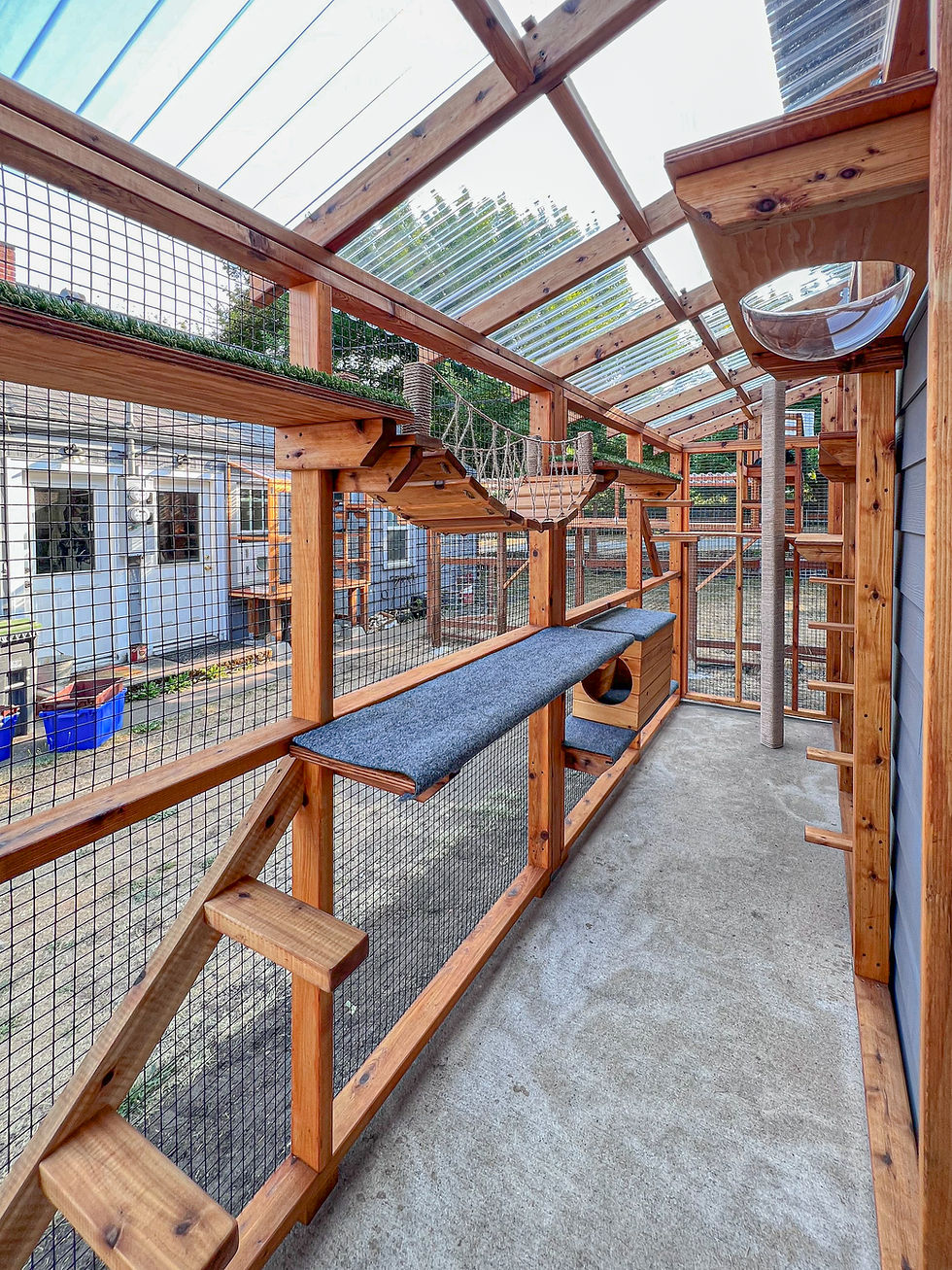 5 Stunning Catio Design Ideas for Your Furry Friends