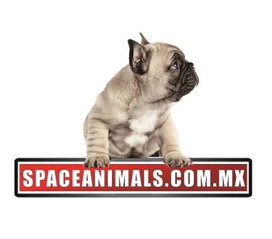 Spaceanimals Vip