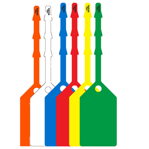 Plain Self Locking Tags (Large) - 100 pack | CCS