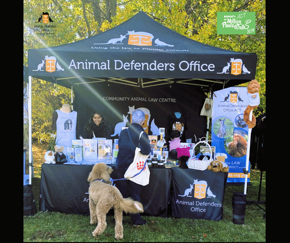 Animal Defenders Office | Community Legal Centre