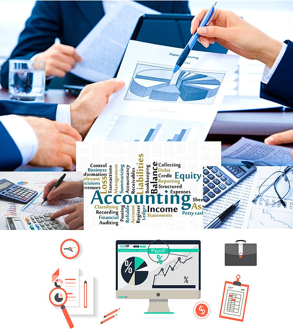 Accounting & Payroll Admin Diploma| Springfield College, Brampton