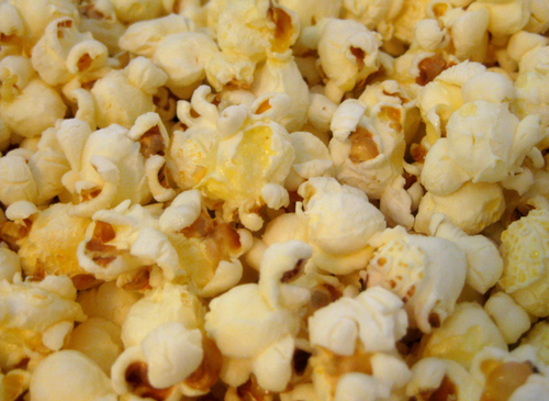 Plain Popcorn | popakernel