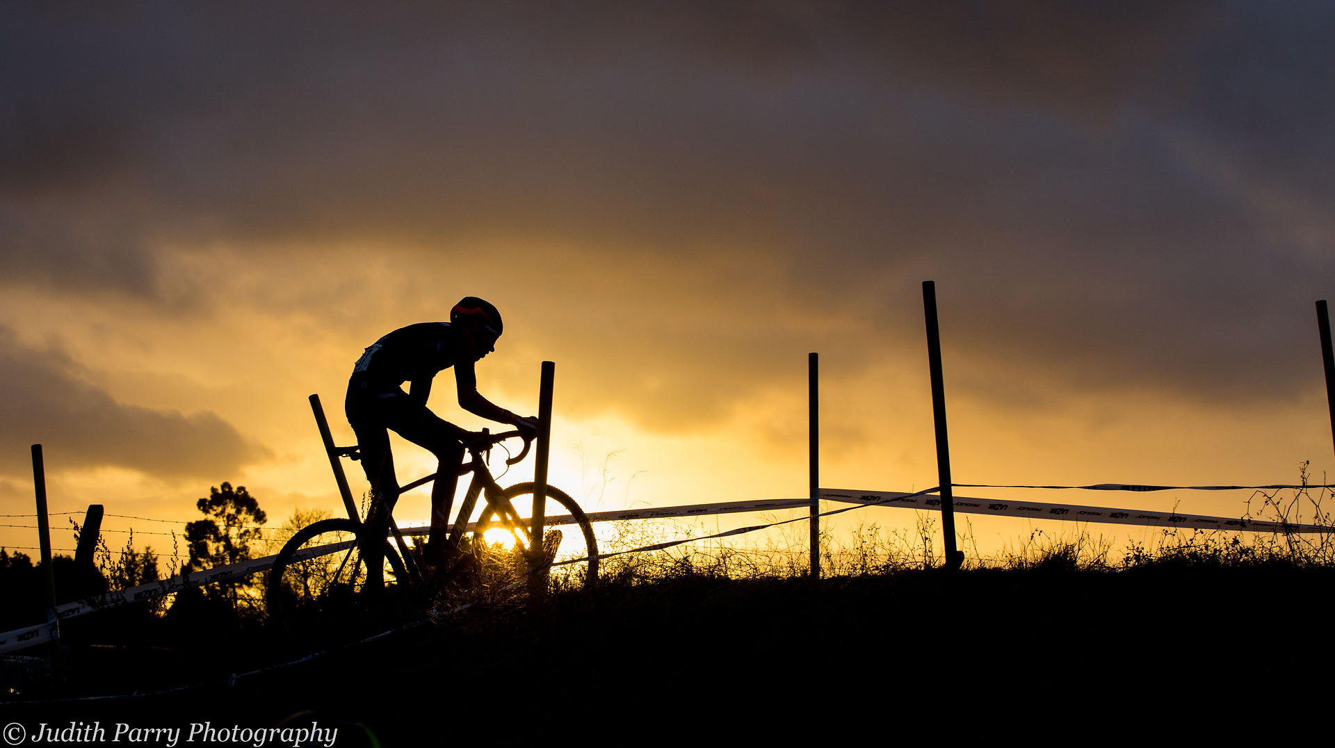 Photography | Hertfordshire | Judith Parry Photography