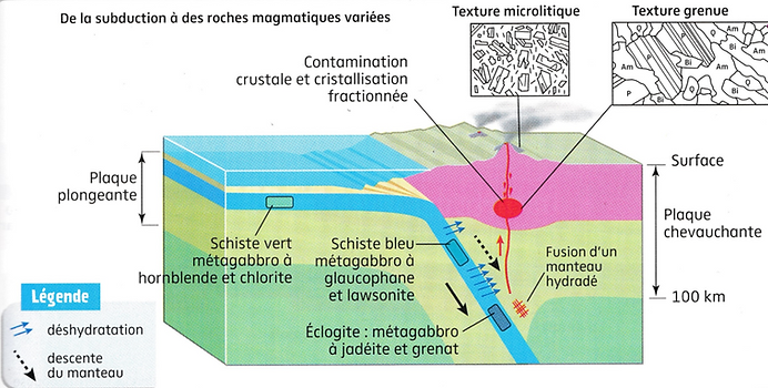 1ère spé SVT - Géologie | Picasso