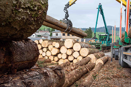ROHSTOFF | Innoholz AG Sägewerk Gähwil | Schweizer Holz