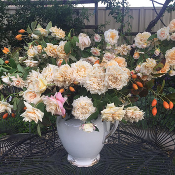 Heritage Roses In Vases | Perth Region Of Heritage Roses In Australia
