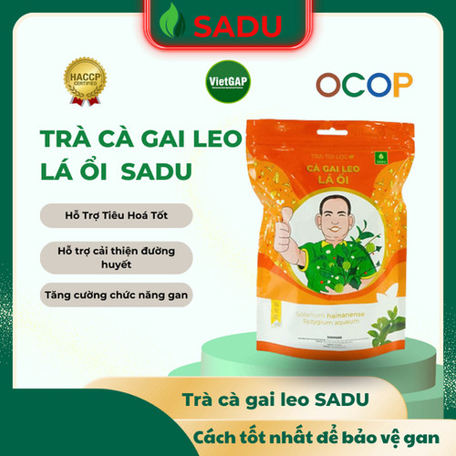 Trà cà gai leo lá ổi gói 1kg | Sadu