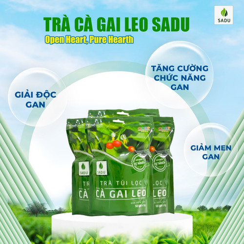 Trà túi lọc cà gai leo Sadu 1kg | Sadu