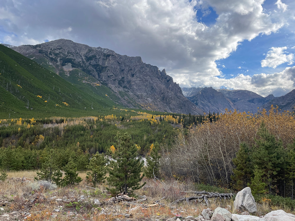 Montana: Day Three