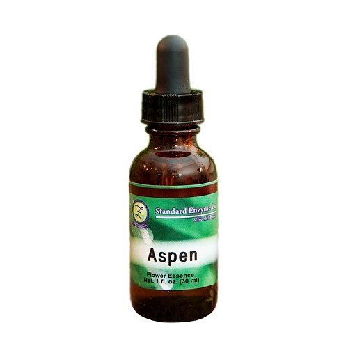 ASPEN | Synergy Services LLC
