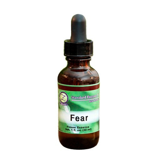 FEAR | Synergy Services LLC