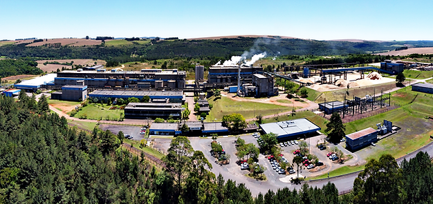 UNIDADES | BO PAPER BRASIL