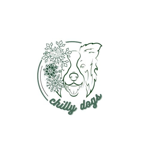 Chilly Dogs, ND Dog Training Pet Boarding Photography