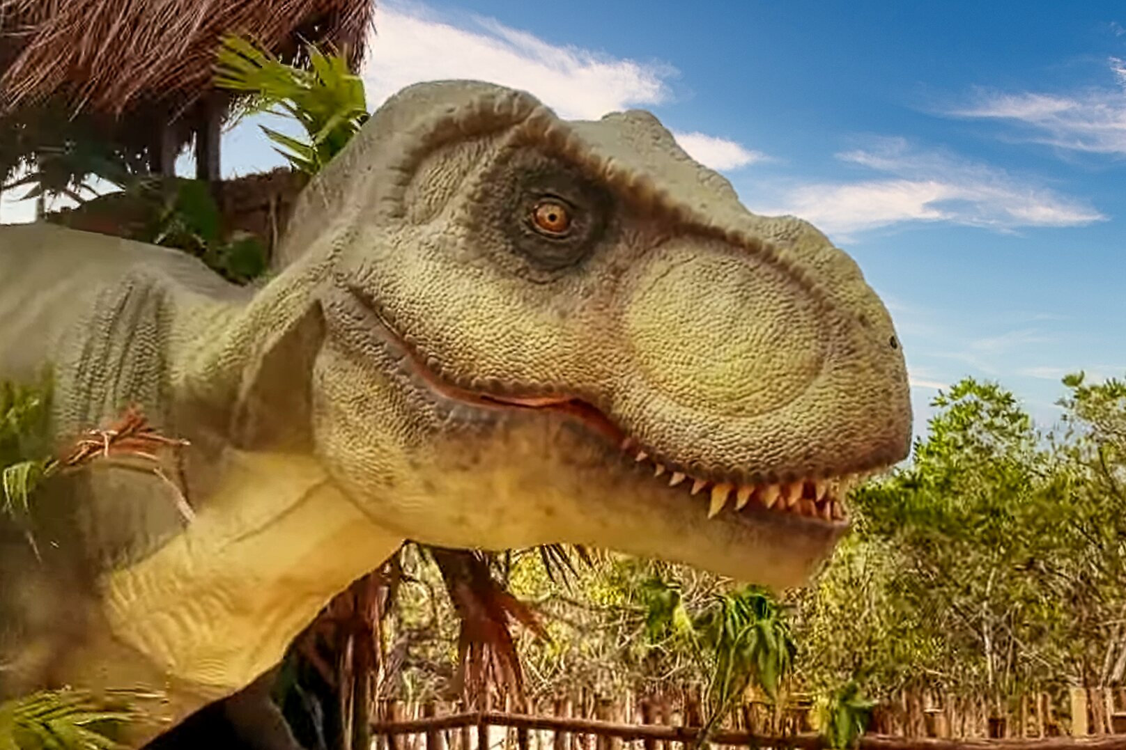 All about Sandero Jurásico in Chicxulub in Yucatán (2025)