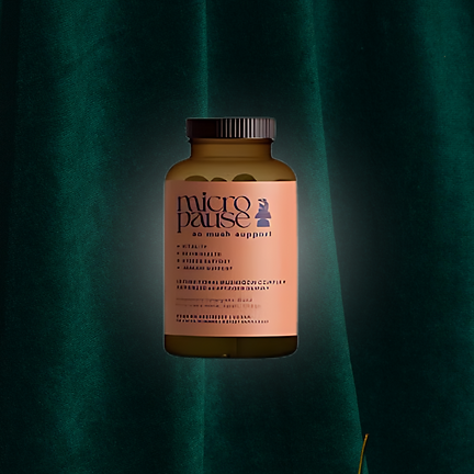 PARTNERS | The Sweaty Pillow