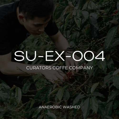 SU-EX-004 — Curators Coffee Company | Kopi Fabriek
