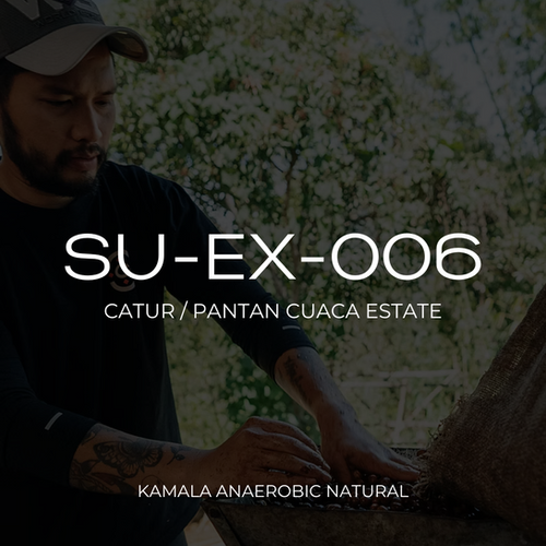 SU-EX-006 — Catur / Pantan Cuaca Estate | Kopi Fabriek