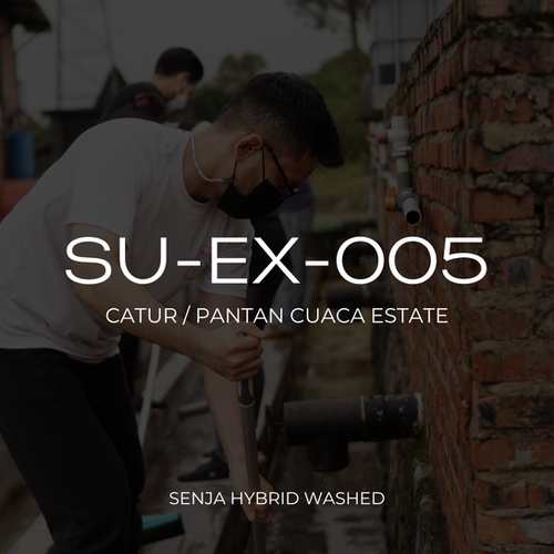 SU-EX-005 — Catur / Pantan Cuaca Estate | Kopi Fabriek