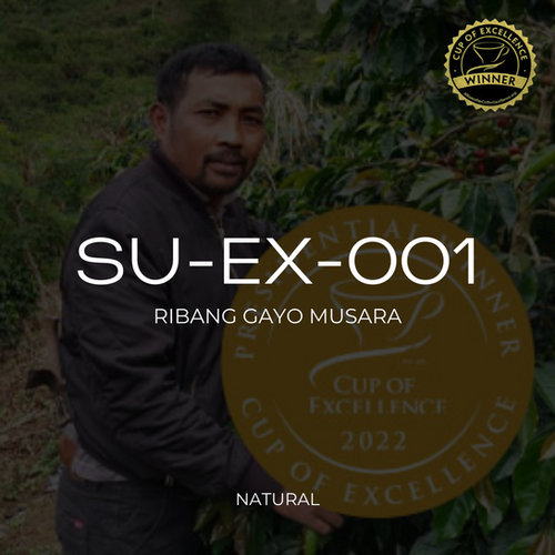 SU-EX-001 — Bahagia Ginting | Kopi Fabriek